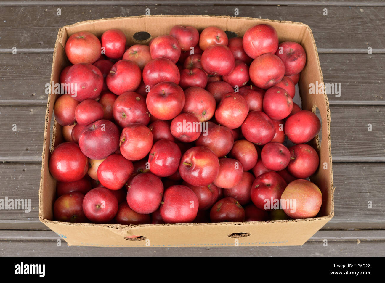 Box of Organic Beacon (MALUS domestica 'Beacon') Apples Stock Photo - Alamy