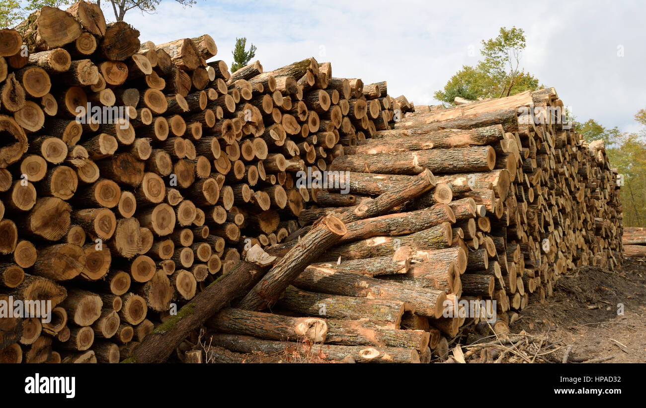 Log landing hi-res stock photography and images - Alamy