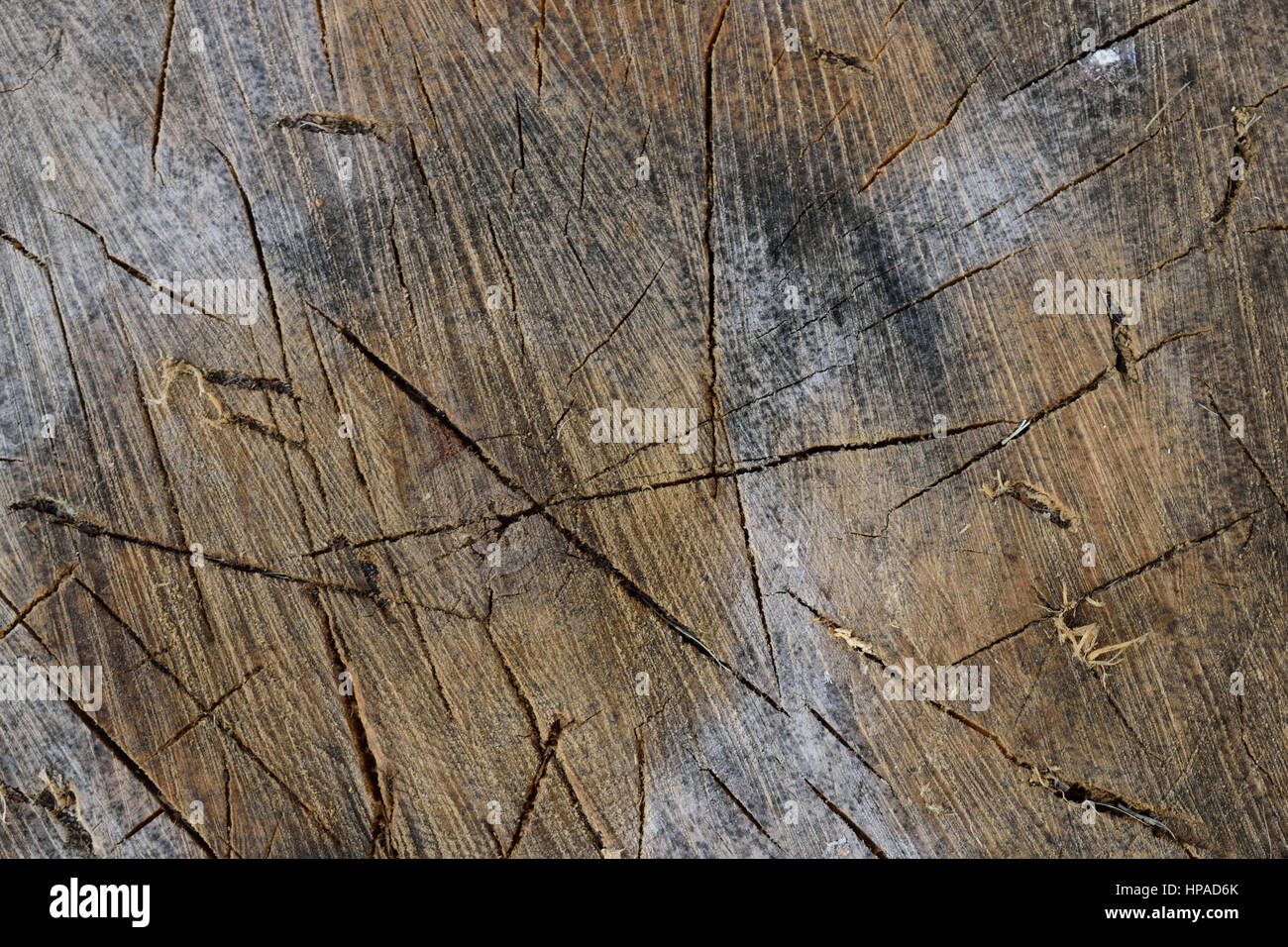 Splitting Block High Resolution Stock Photography and Images - Alamy