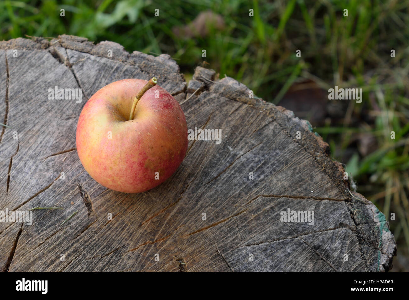 Organic Apple on Splitting Block Stock Photo - Alamy