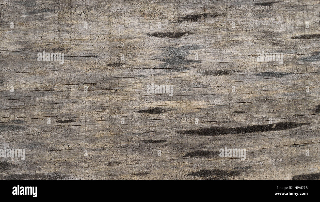 Horizontal grain hi-res stock photography and images - Alamy