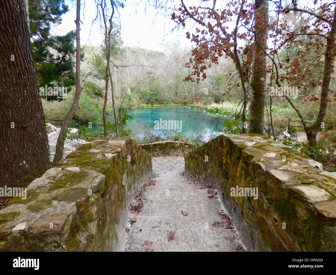 Main Spring, Ichetucknee Springs State Park, Ft. White, Florida, USA ...