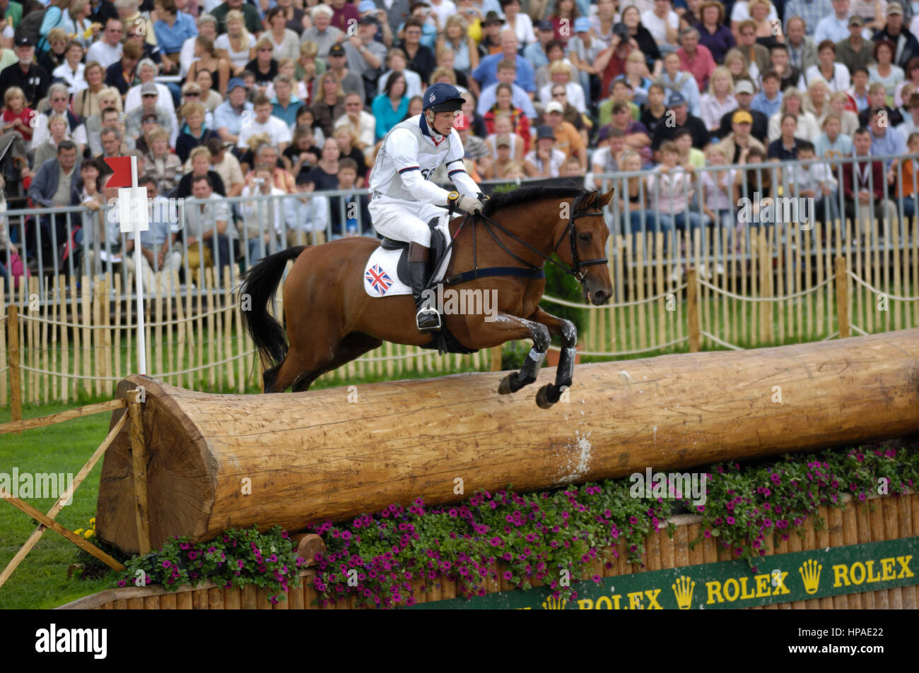 Tamarillo fox pitt hi-res stock photography and images - Alamy