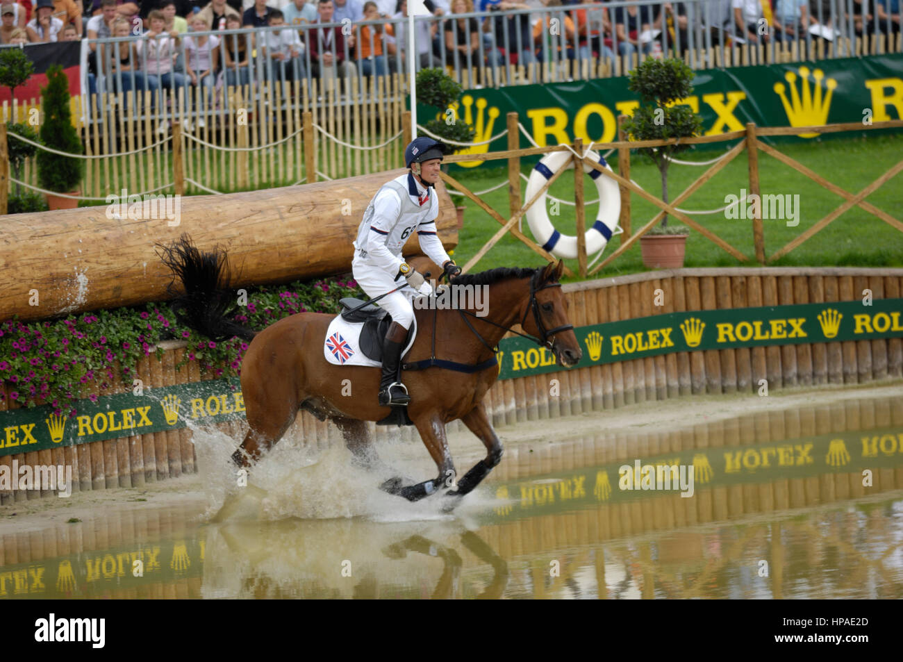 Tamarillo fox pitt hi-res stock photography and images - Alamy