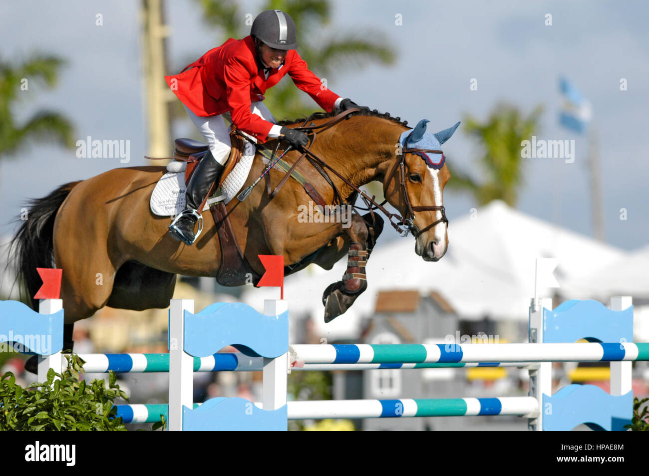 Bay oxer showjumping jump hi-res stock photography and images - Alamy