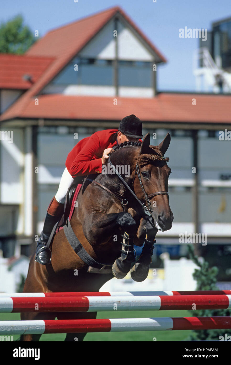 Oxer hi-res stock photography and images - Alamy