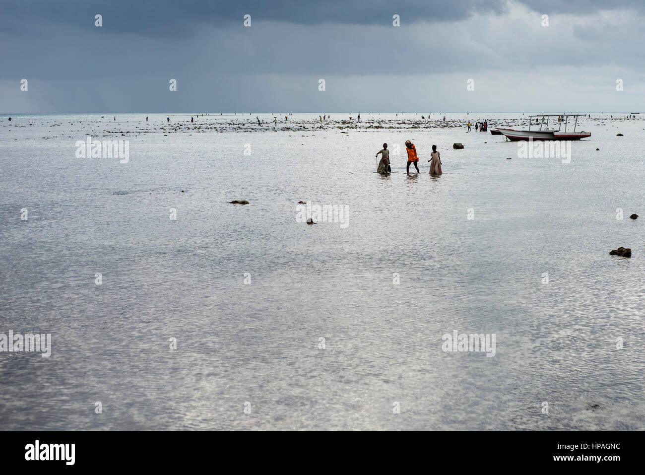 African seashell east africa hi-res stock photography and images - Alamy