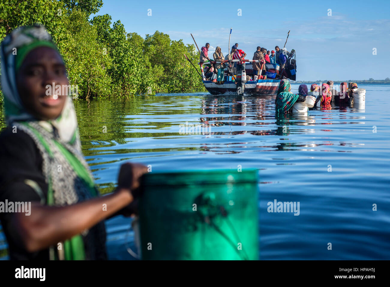 People walk through water with buckets in their hand to buy anchovies ...