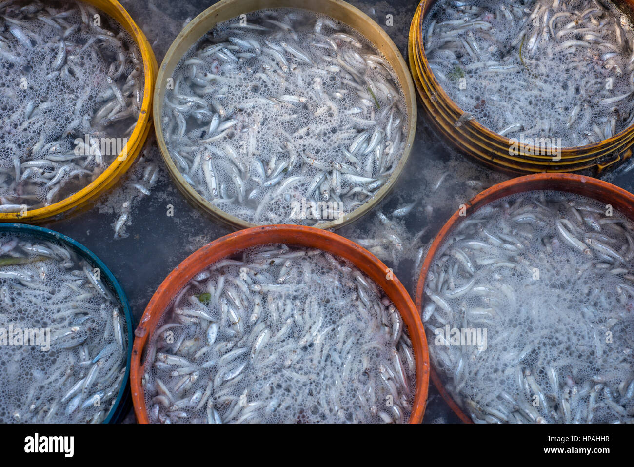 Tanzania fishing village fish drying hi-res stock photography and ...