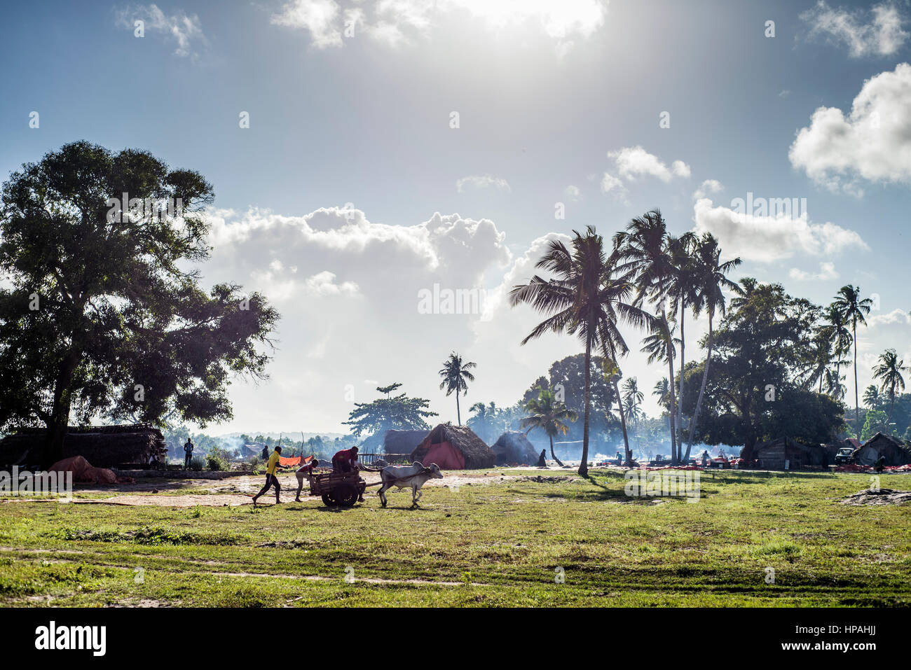 A rural scene, Mkokotoni, Zanzibar, Tanzania Stock Photo - Alamy