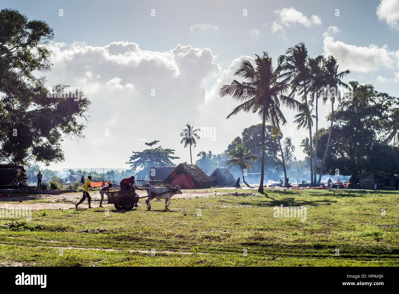 Mkokotoni hi-res stock photography and images - Alamy