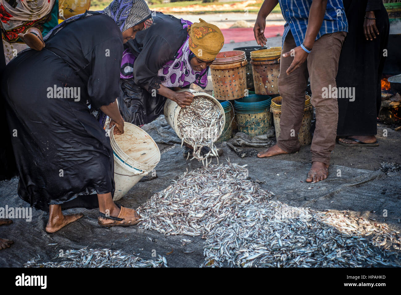 Women prepare anchovies, locally called Dagaa, for drying at Mkokotoni ...