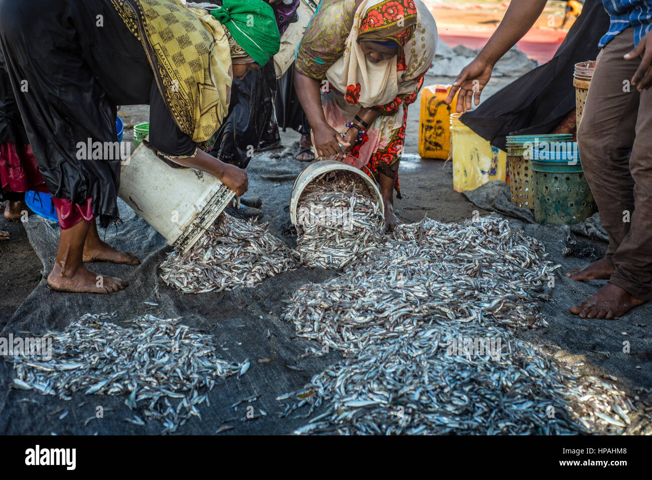 Women prepare anchovies, locally called Dagaa, for drying at Mkokotoni ...