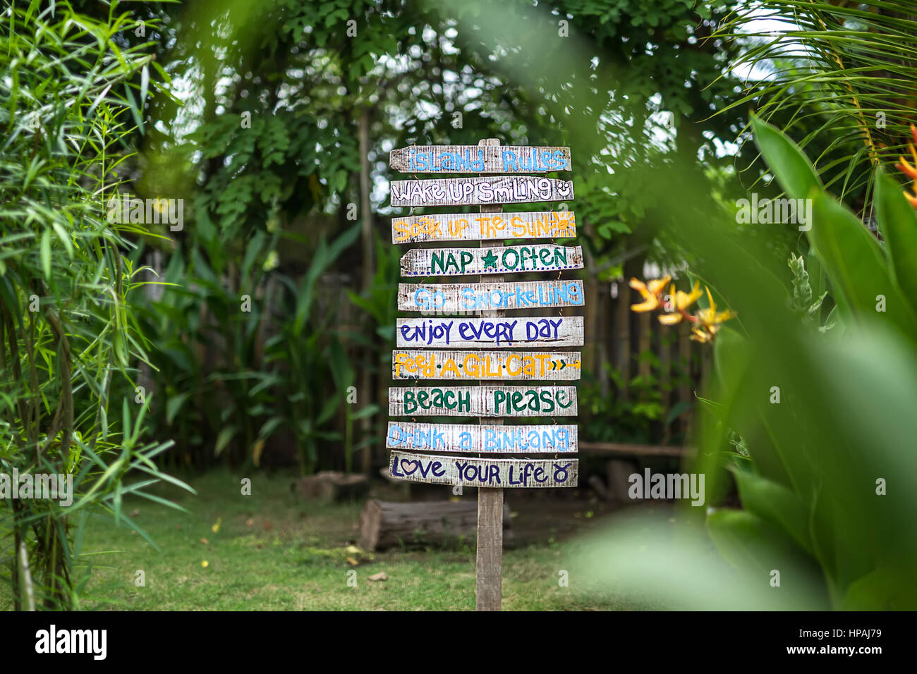 Wooden signboard with multi-colored inscriptions on the green nature ...