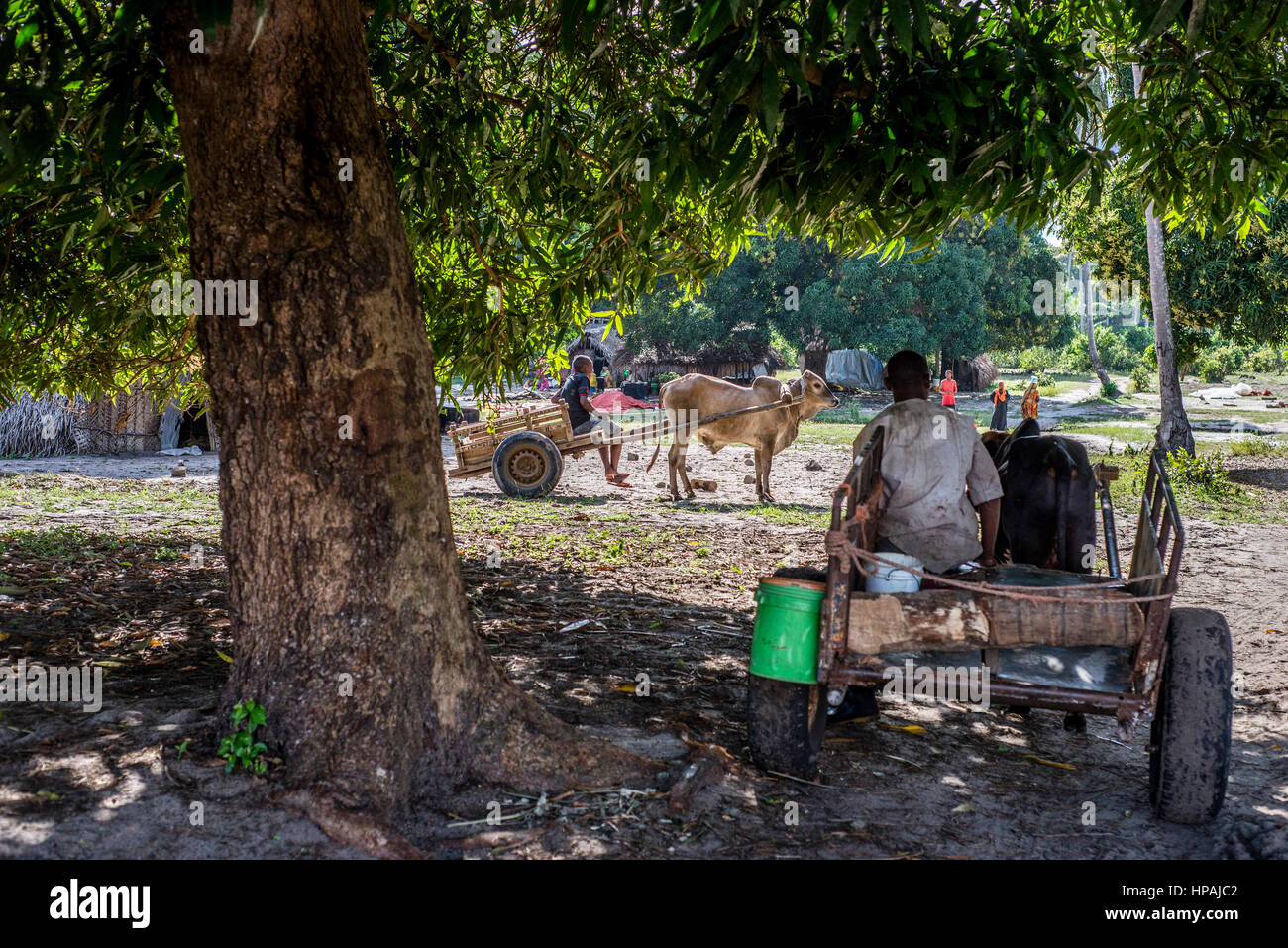 A rural scene, Mkokotoni, Zanzibar, Tanzania Stock Photo - Alamy