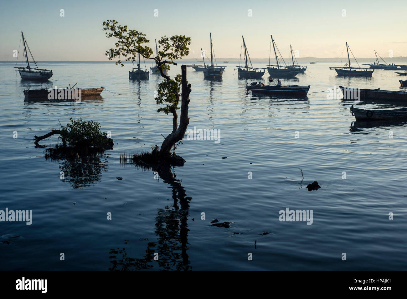 Fishing boat near Mkokotoni fish market, Zanzibar, Tanzania Stock Photo ...