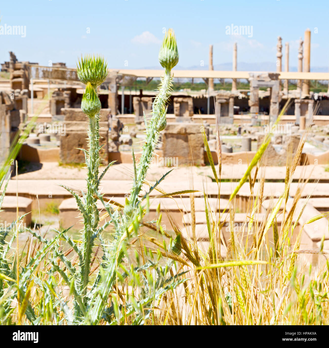 blur in iran persepolis the old ruins historical destination monuments ...