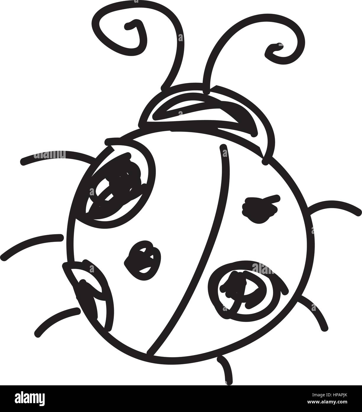 monochrome contour with sketch ladybug insect vector illustration Stock ...