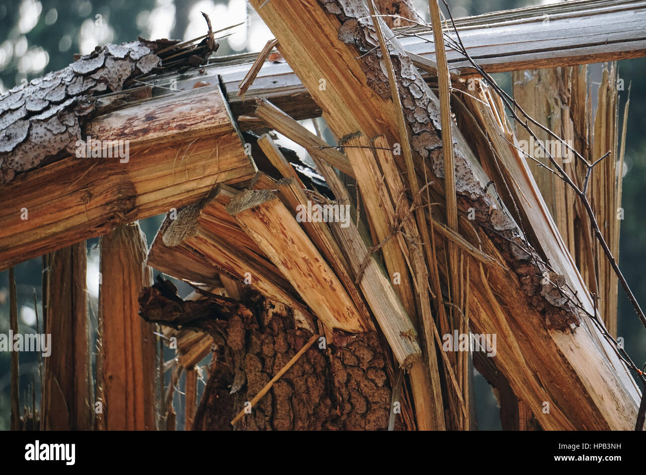 Cracked wood hi-res stock photography and images - Alamy