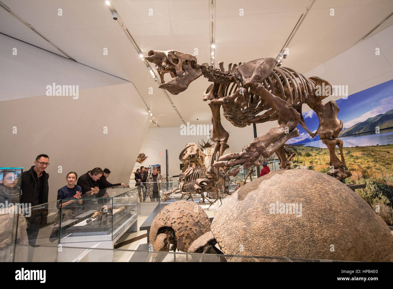 Dinosaur sculpture inside Toronto Royal Ontario Museum Stock Photo - Alamy