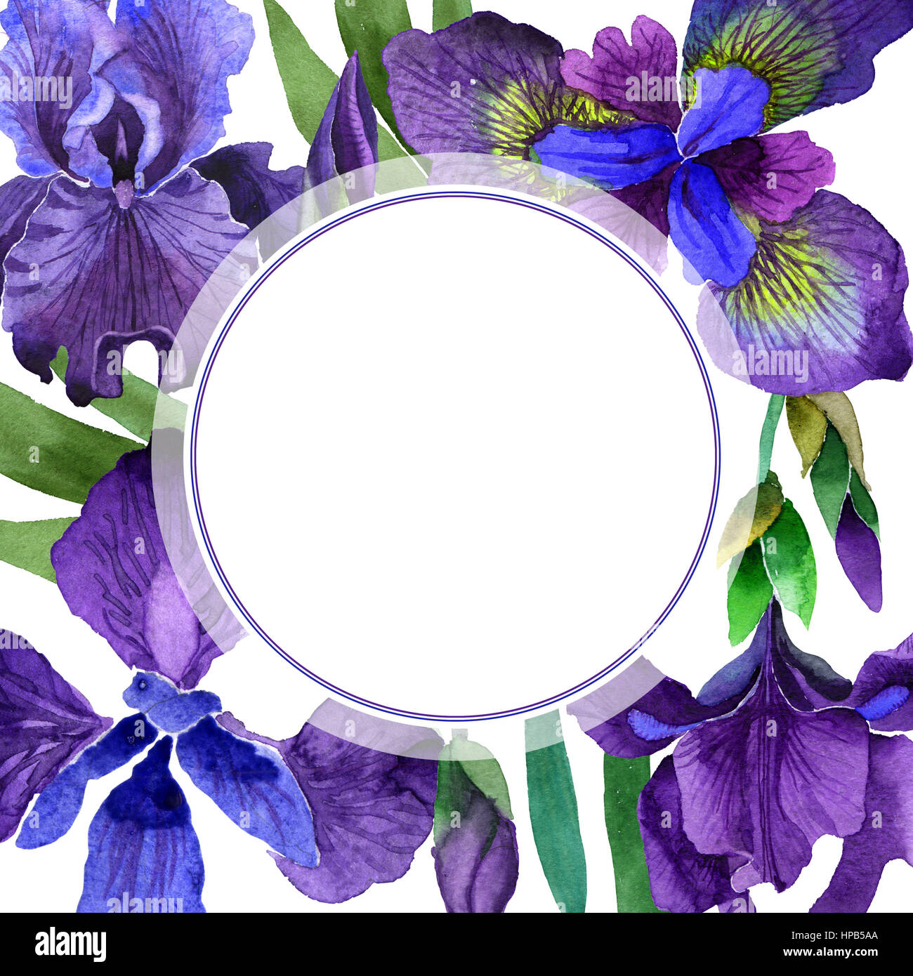 Wildflower iris flower frame in a watercolor style isolated Stock Photo ...