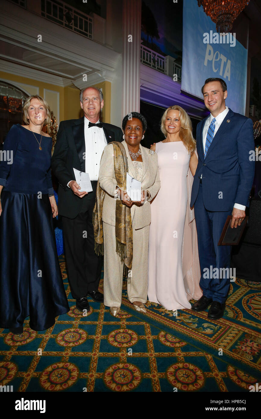 Ingrid Anderson Cassiopeia