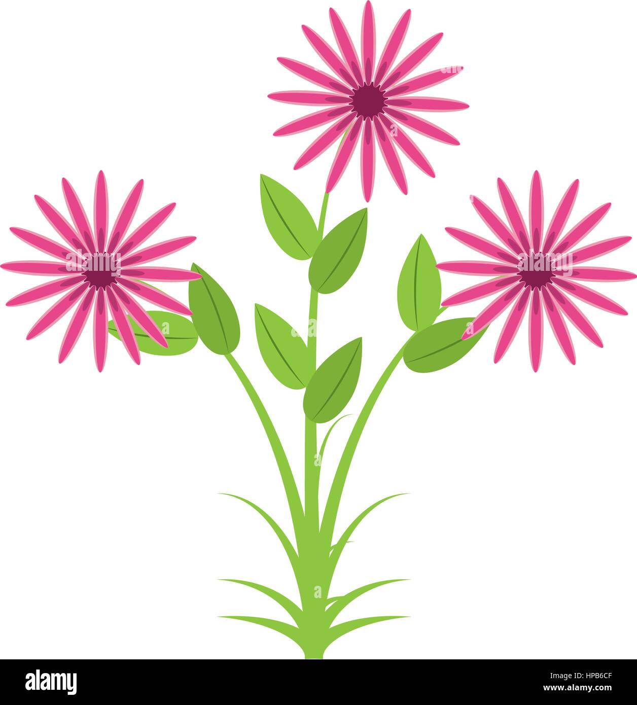 daisy flowers bunch flora vector illustration eps 10 Stock Vector Image ...