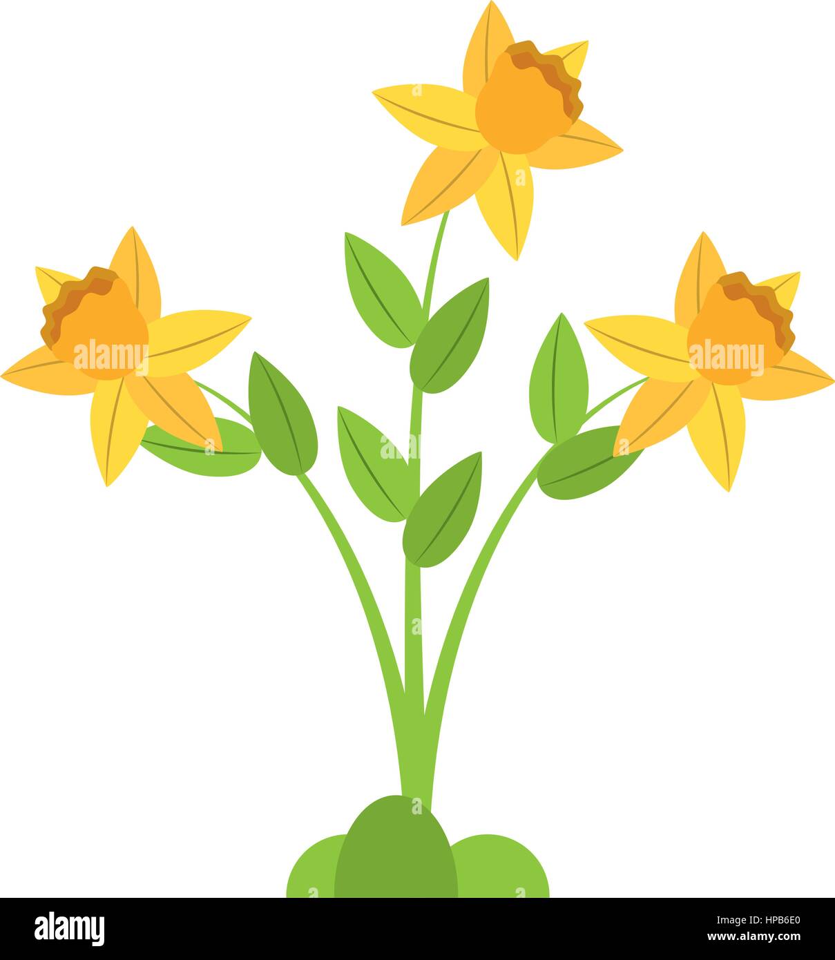 Daffodil flower vibrant Stock Vector Images - Alamy