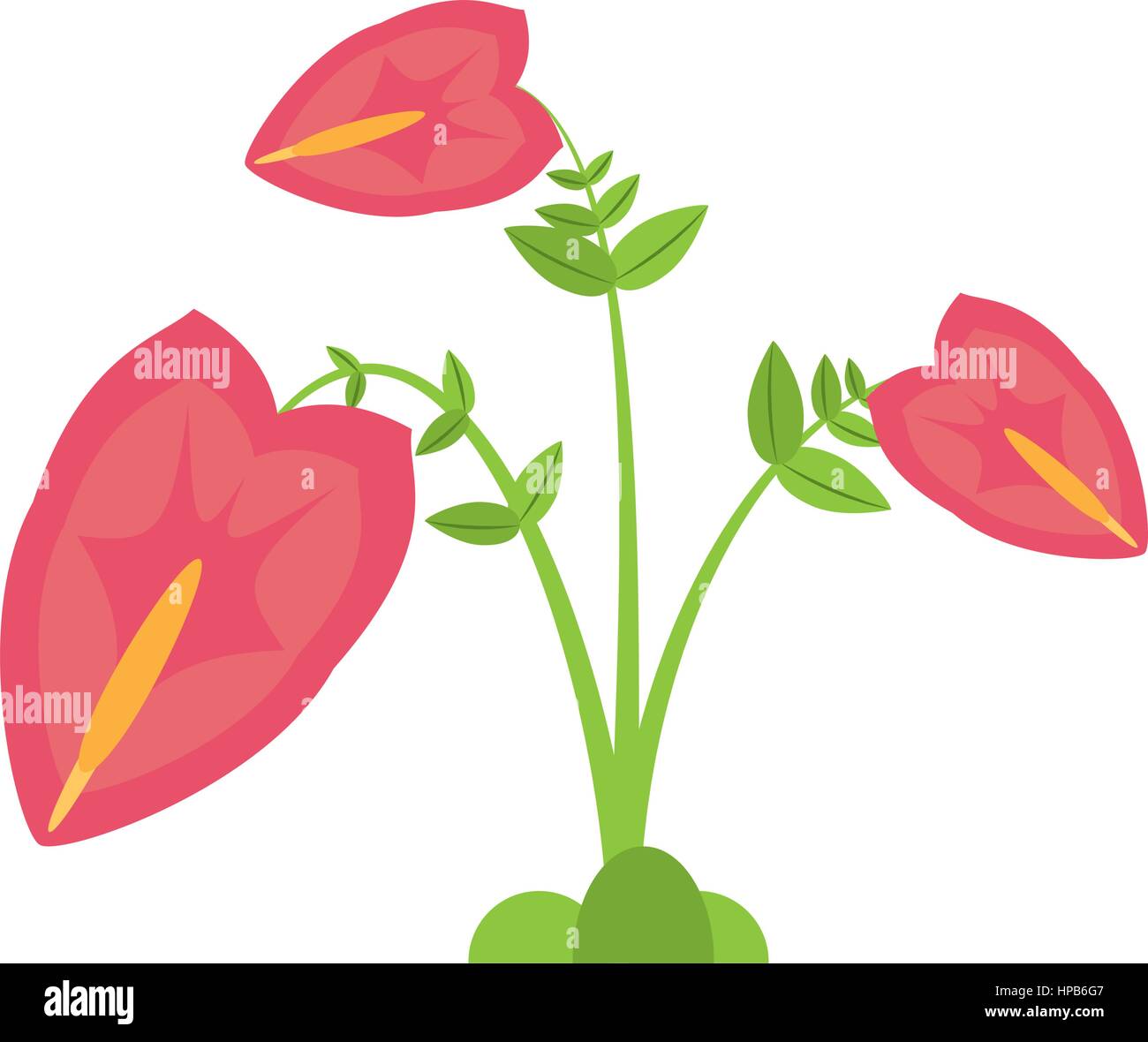 anthurium leaf plant exotic vector illustration eps 10 Stock Vector ...