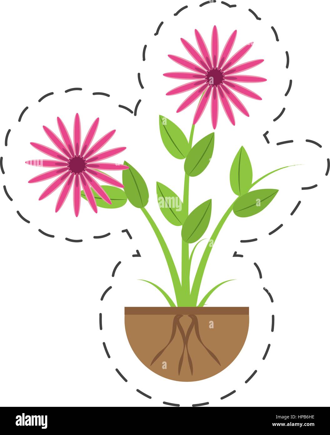 aster flowers bunch flora growing vector illustration eps 10 Stock ...