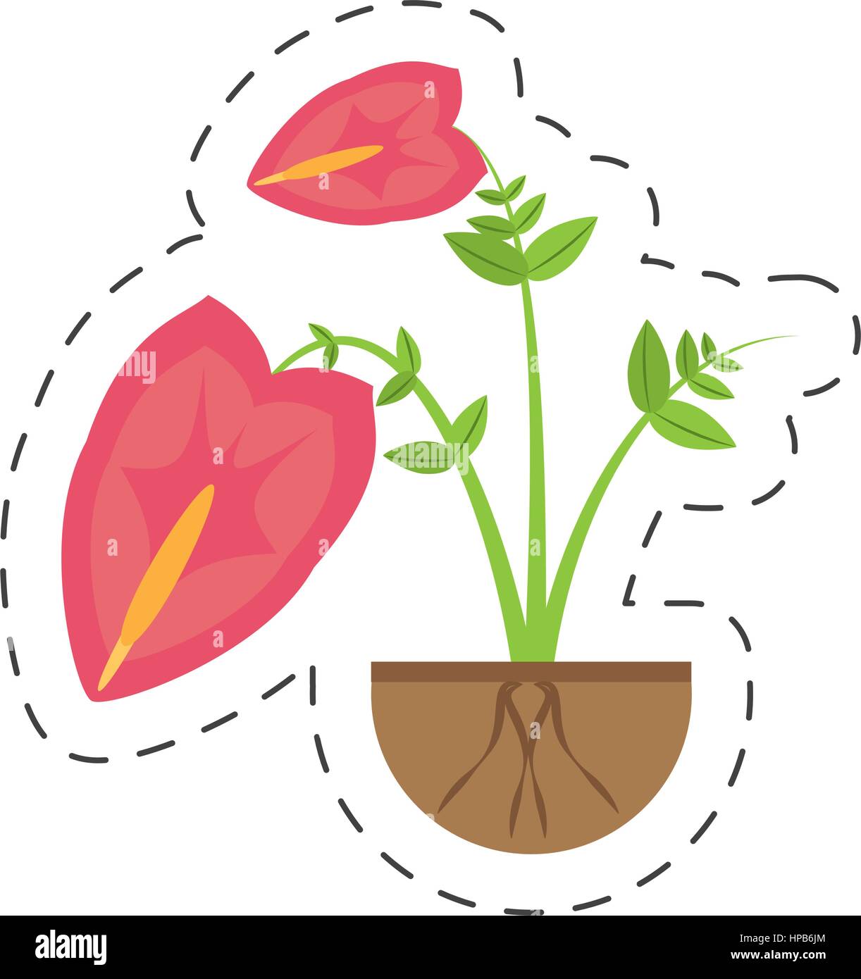 anthurium leaf plant exotic growing vector illustration eps 10 Stock ...