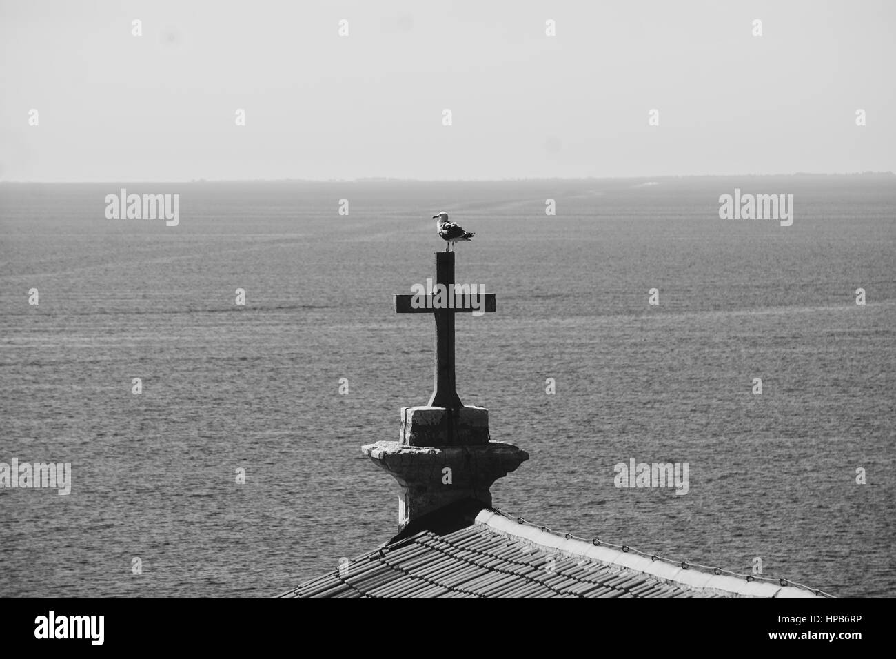 Bird on a cross Stock Photo - Alamy