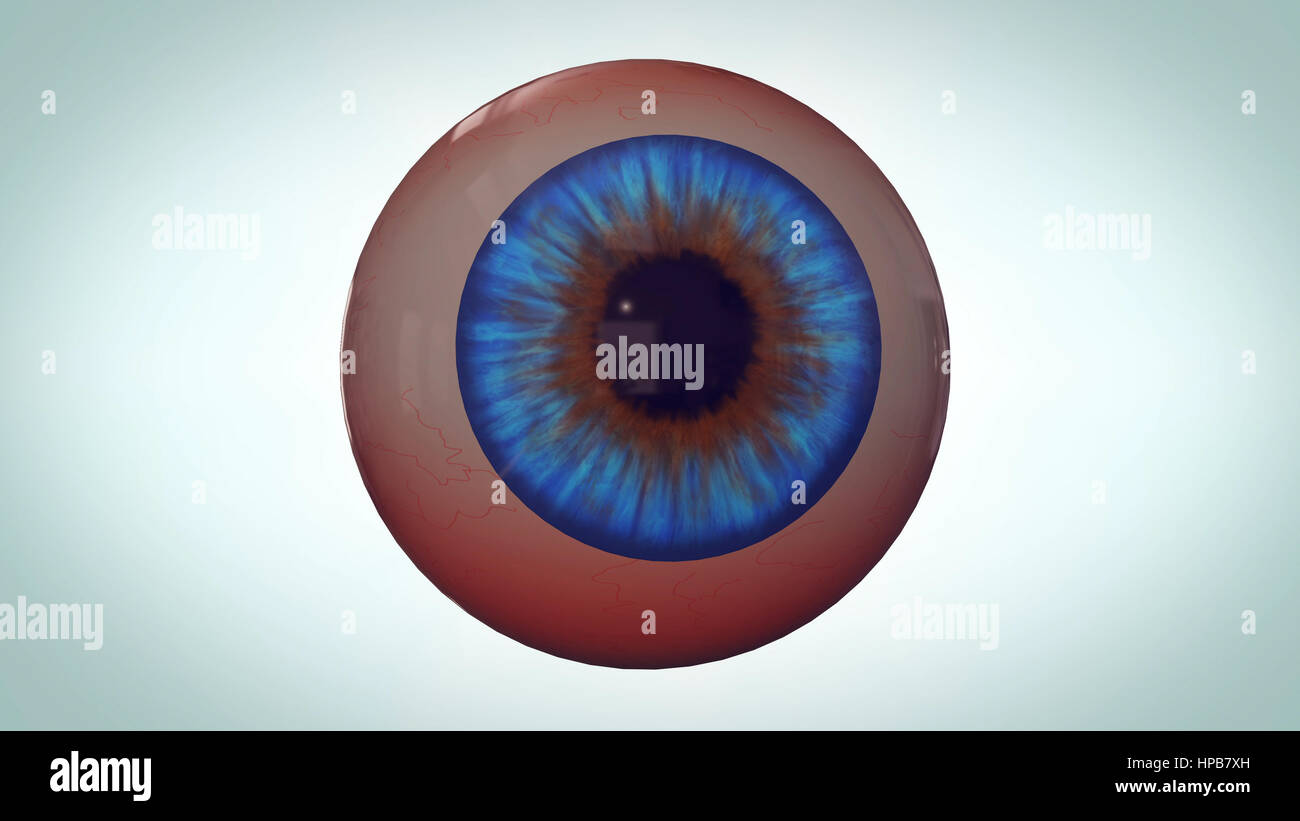 Illustration red eyes veins hi-res stock photography and images - Alamy