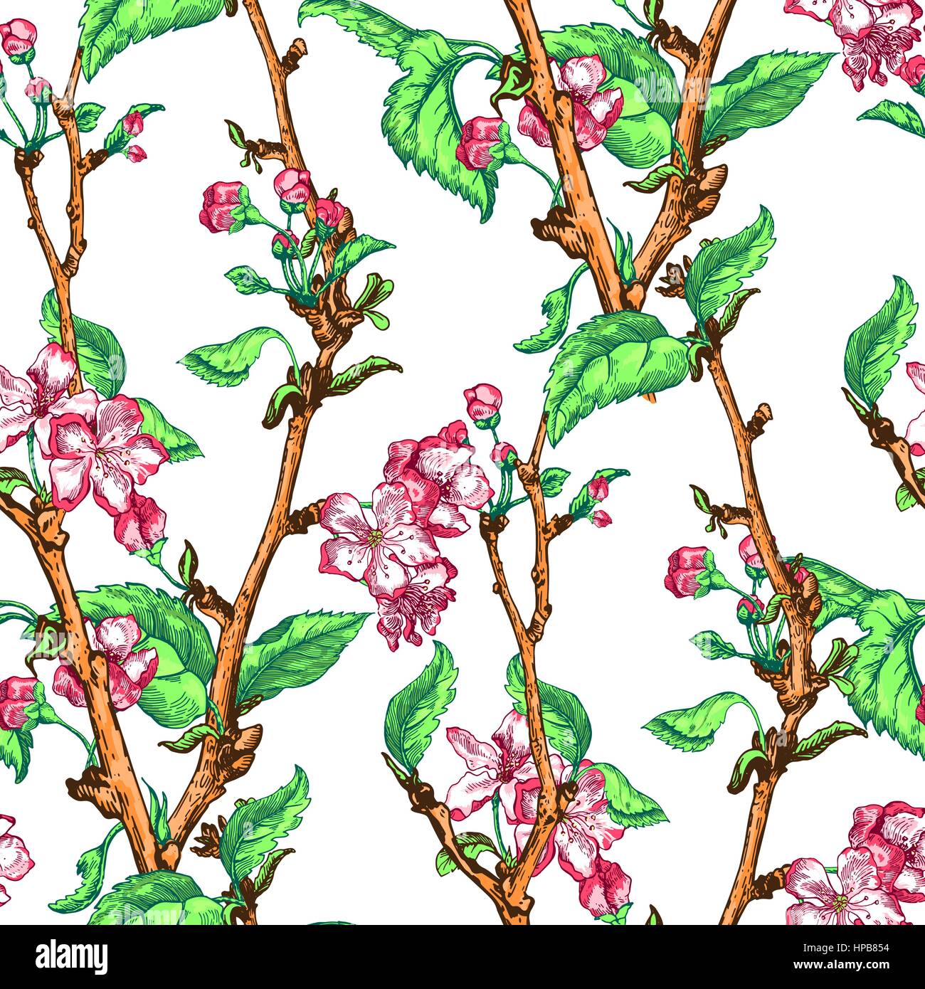 Apple tree Stock Vector Images - Alamy