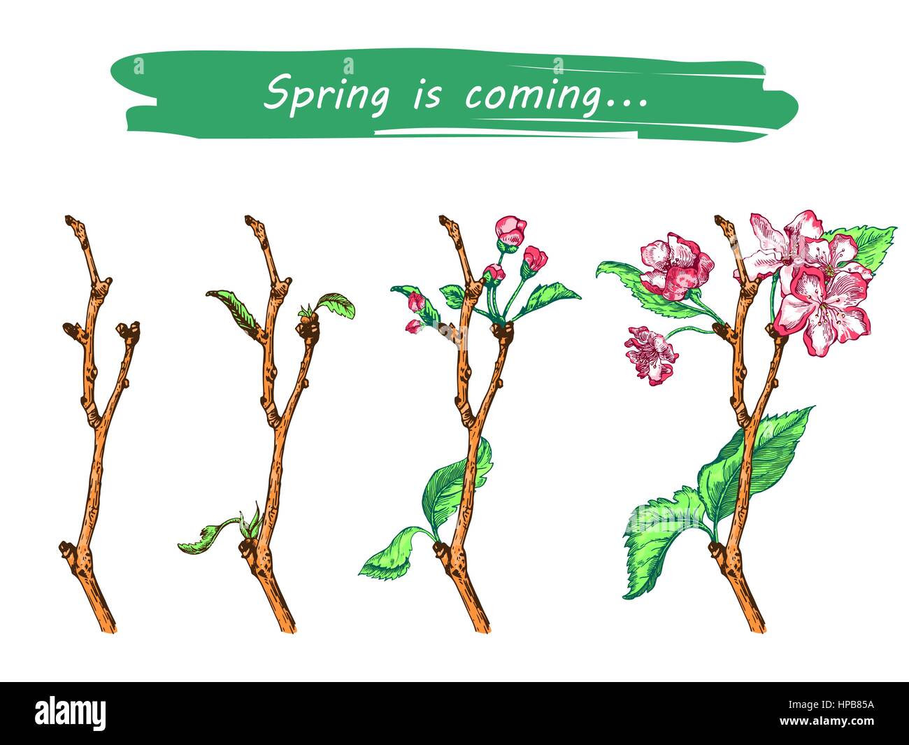 Infographic design template tree Cut Out Stock Images & Pictures - Alamy