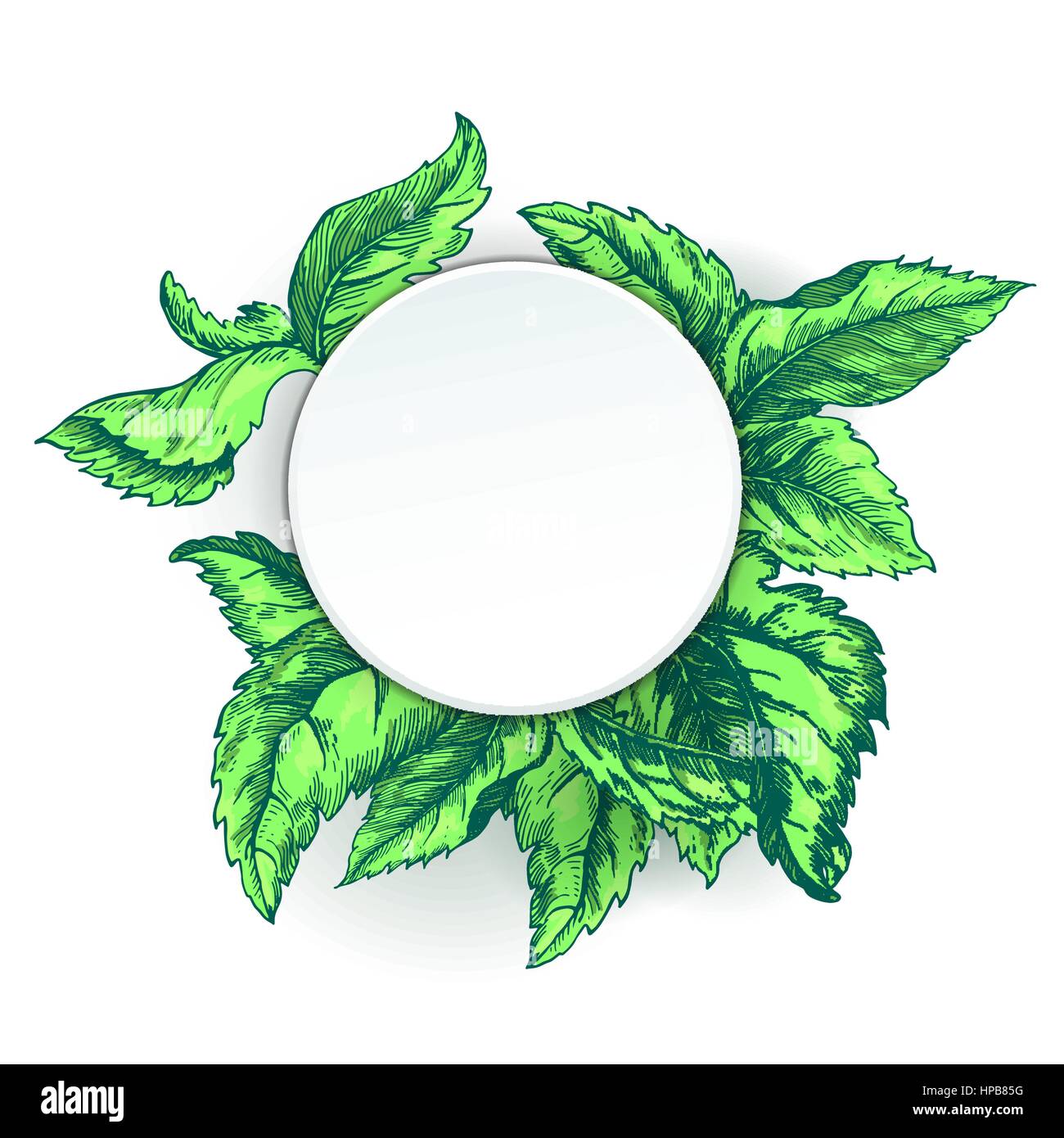 Bouquet apple tree Stock Vector Images - Alamy