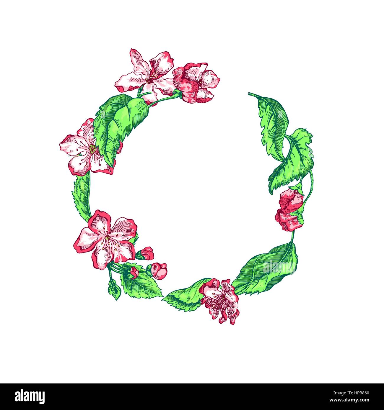 Bouquet apple tree Stock Vector Images - Alamy