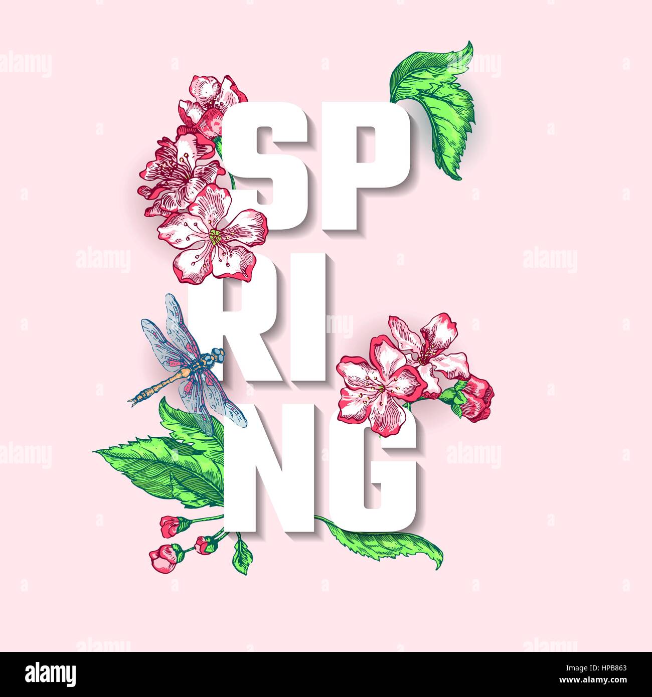 Bouquet apple tree Stock Vector Images - Alamy