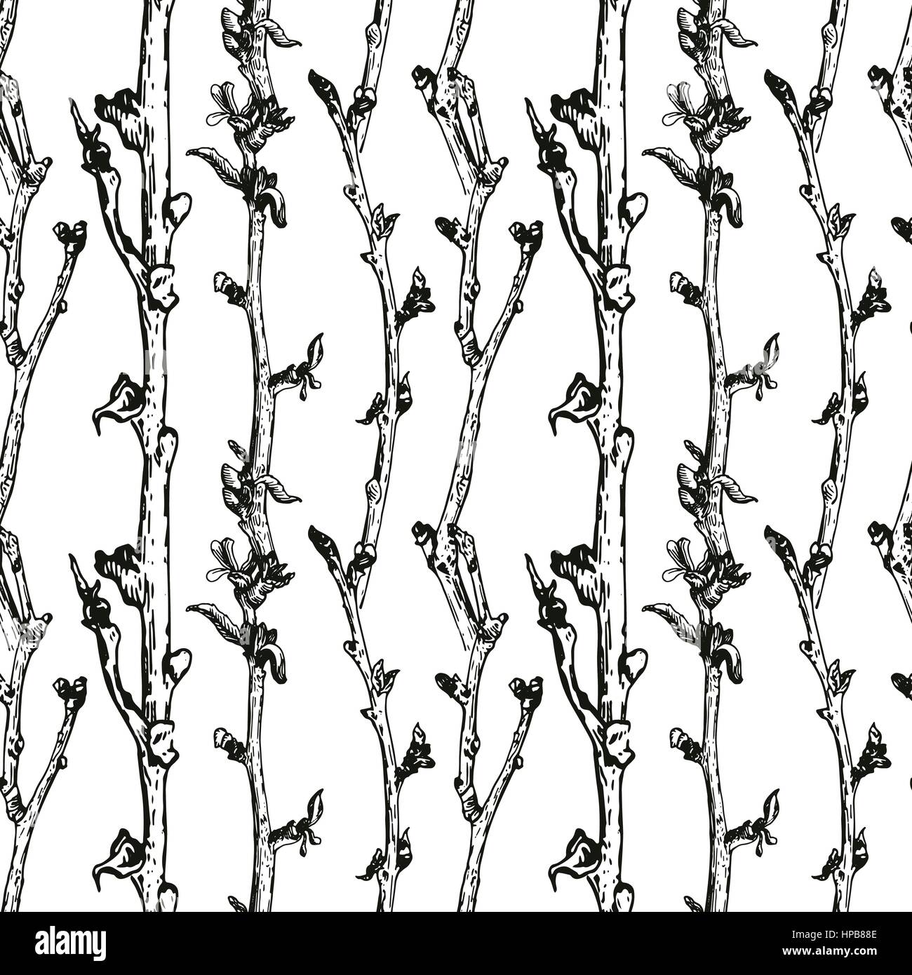 Tree sketch Stock Vector Images - Alamy