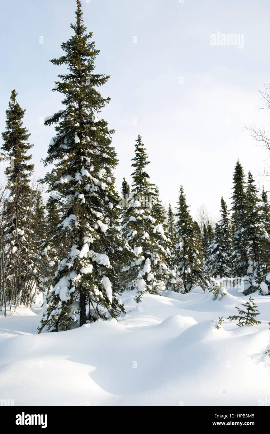 Beautiful nature in northern hi-res stock photography and images - Alamy