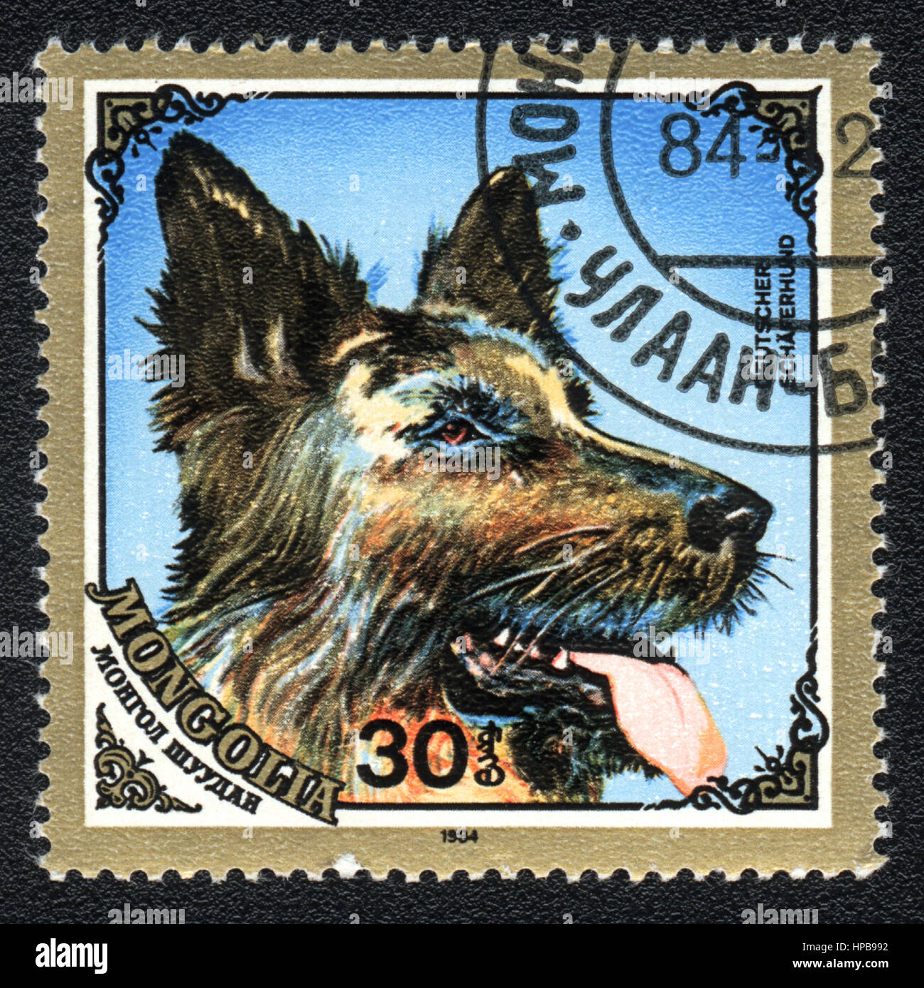 A stamp printed in Mongolia shows a German shepherd, series Breed of ...