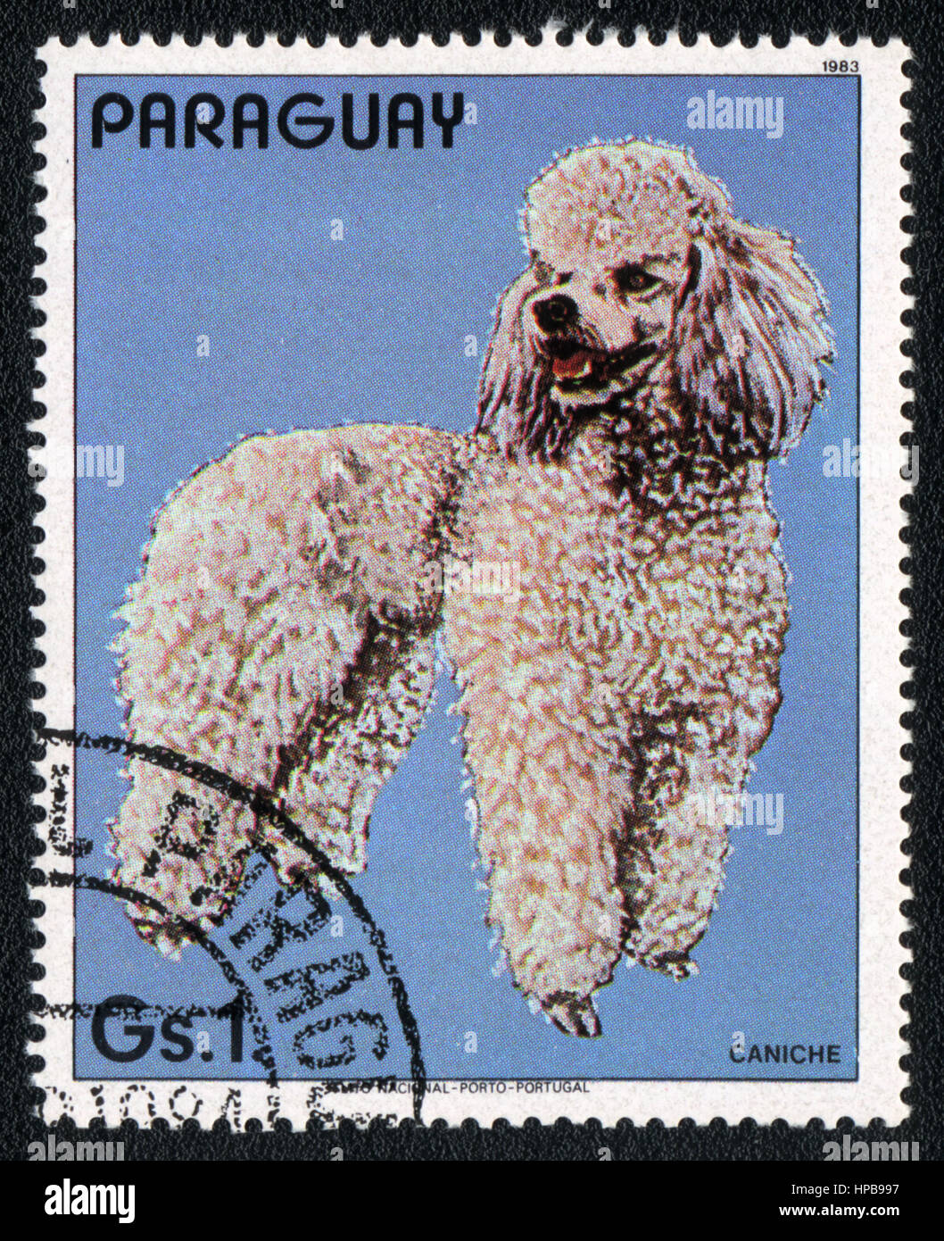 A stamp printed in Paraguay shows a Poodle , from series Breed of dogs ...