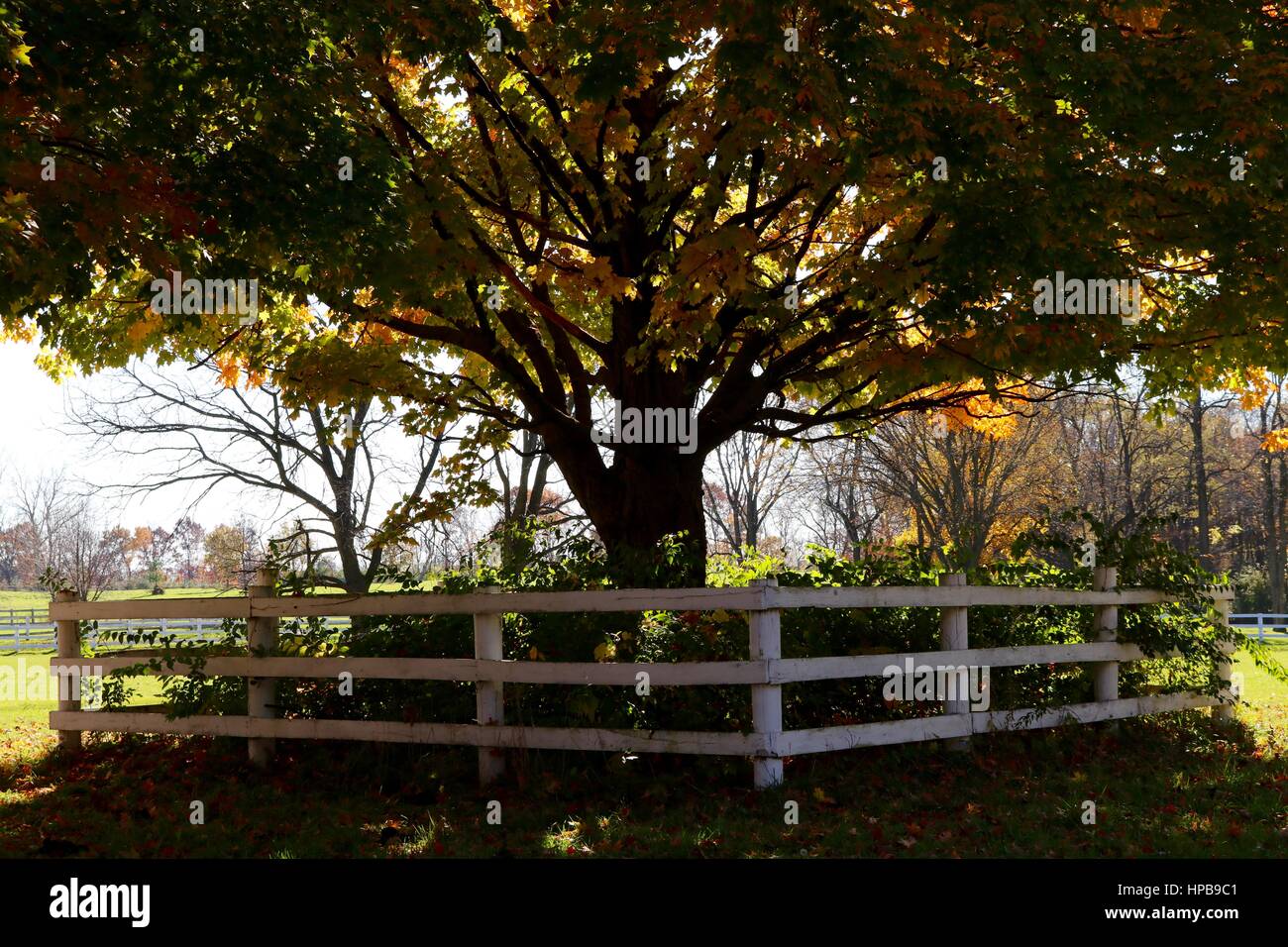 Midwestern fall colors hi-res stock photography and images - Alamy
