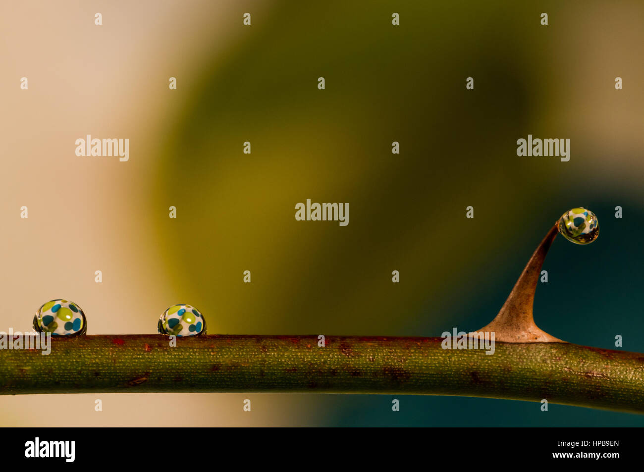 Refraction water hi-res stock photography and images - Alamy