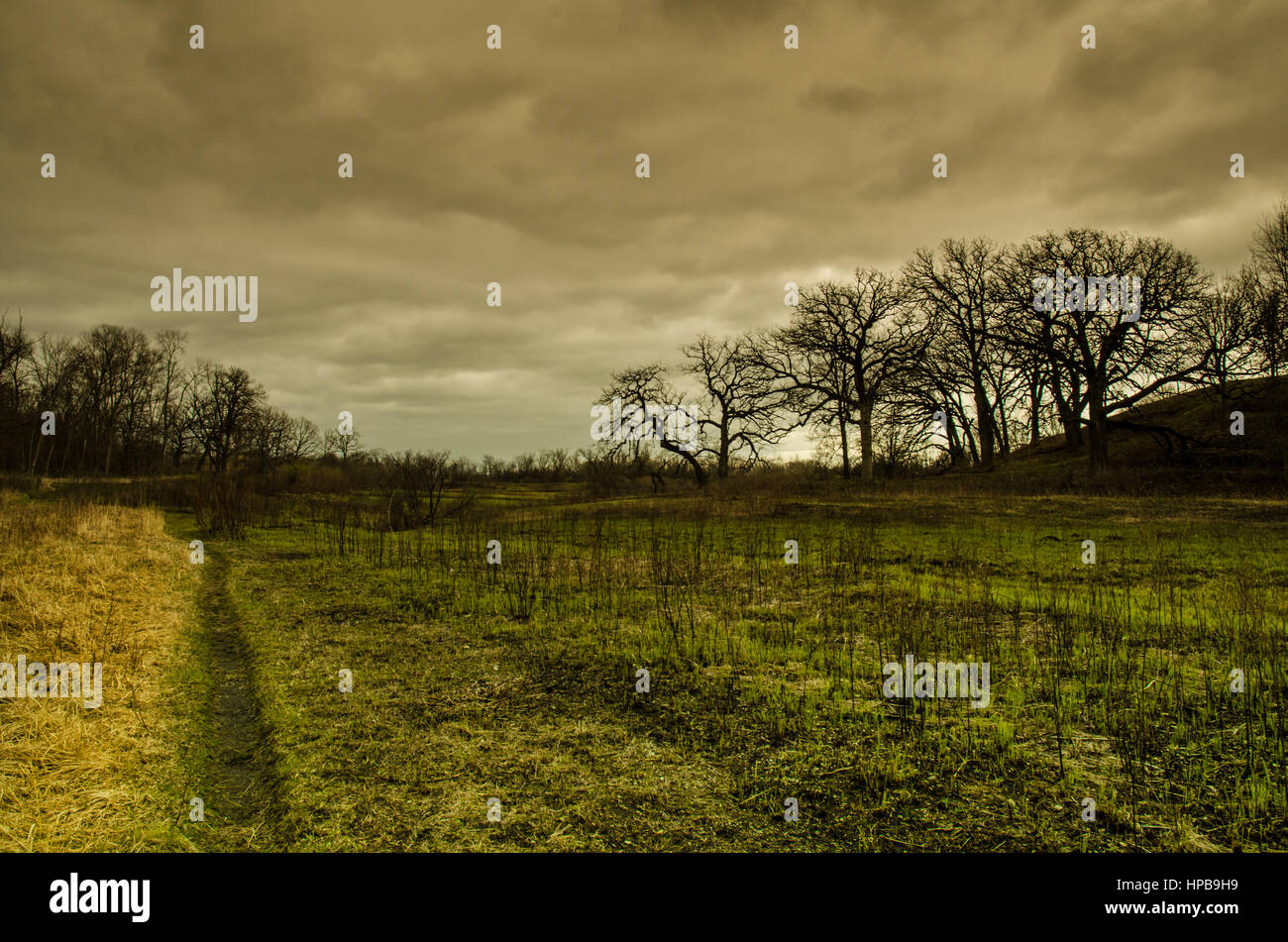 Illinois prairie grass hi-res stock photography and images - Alamy