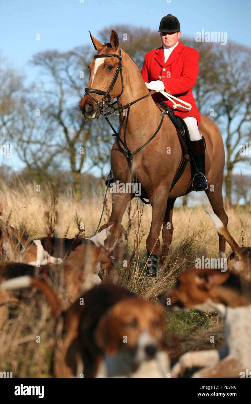 Drag hunt hi-res stock photography and images - Alamy