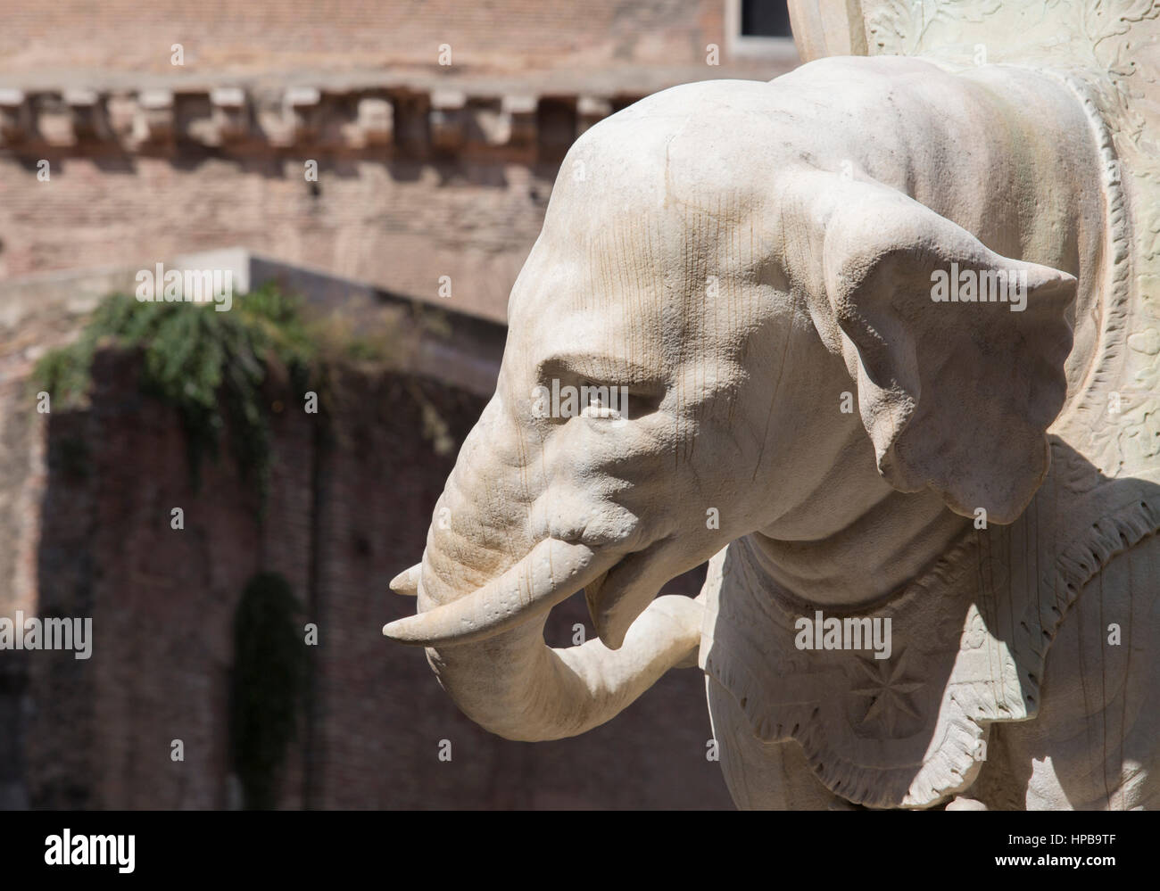 Bernini's 'Little Elephant' in Piazza della Minerva with The Pantheon ...