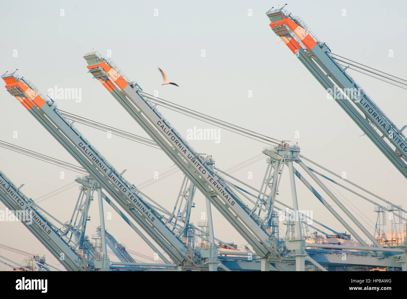 California container cranes Stock Photo - Alamy