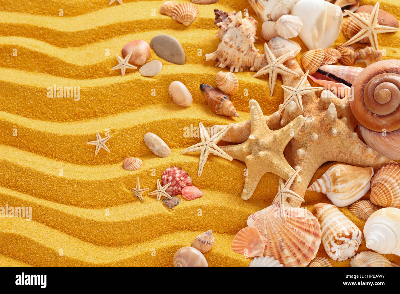 Background with yellow sand, shells and starfishes Stock Photo - Alamy