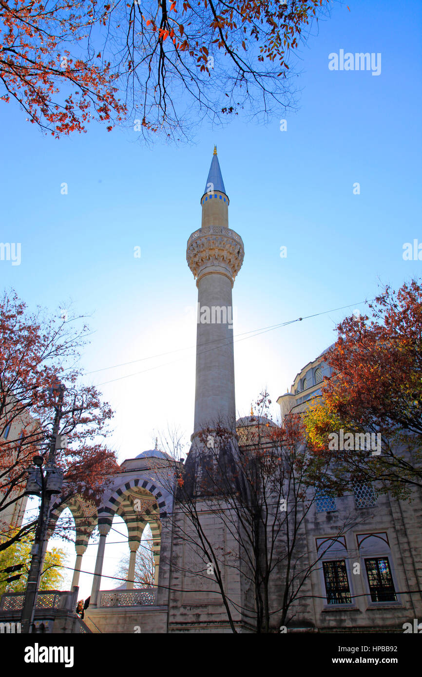 Tokyo Camii Shibuya Tokyo Japan Stock Photo - Alamy